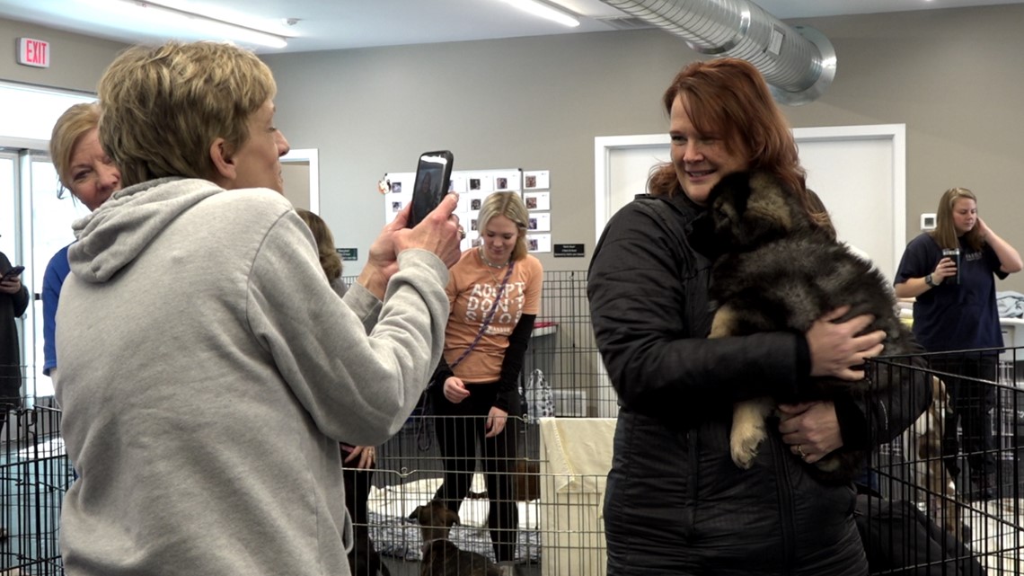Harbor Humane Society hosts animal adoption event | wzzm13.com