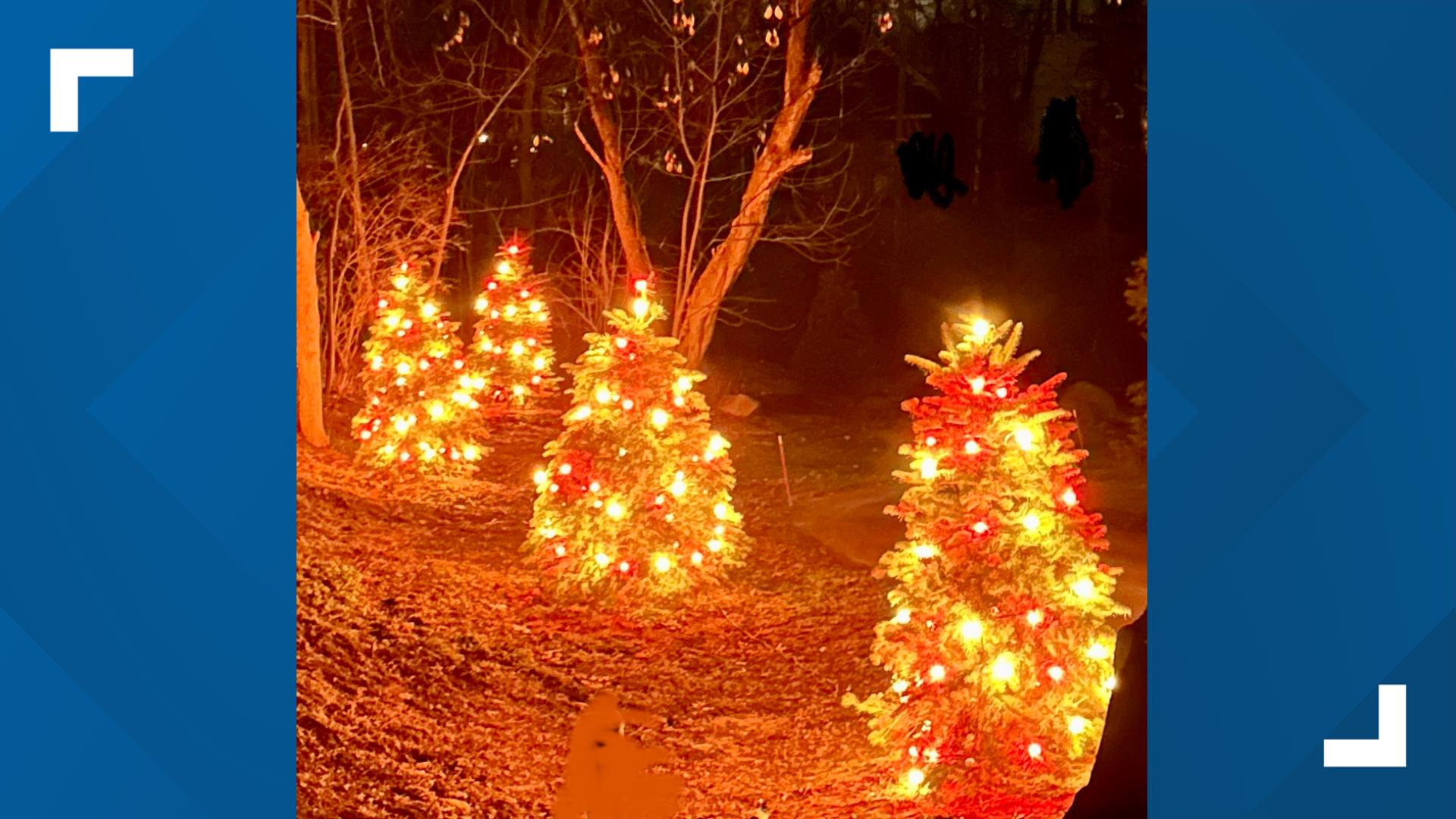 Christmas tree stolen out of Ada homeowner's yard | wzzm13.com