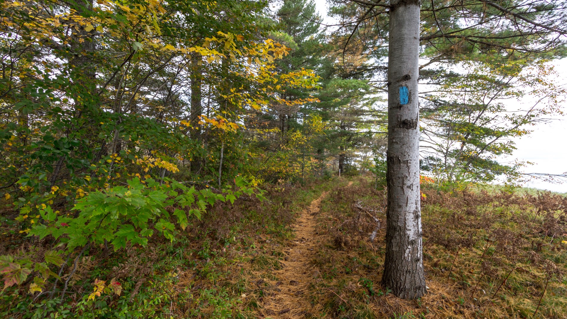 North Country National Scenic Trail becomes National Park | wzzm13.com