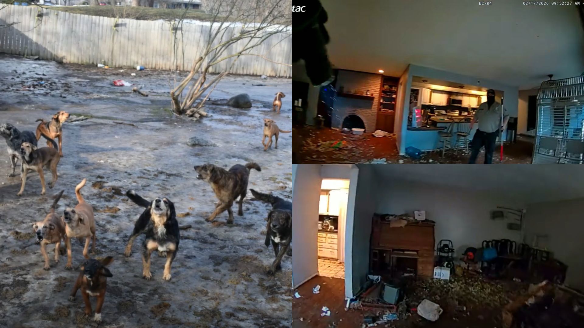 'IT WAS DEATH' | Flint Township police rescue 64 animals from home with ...