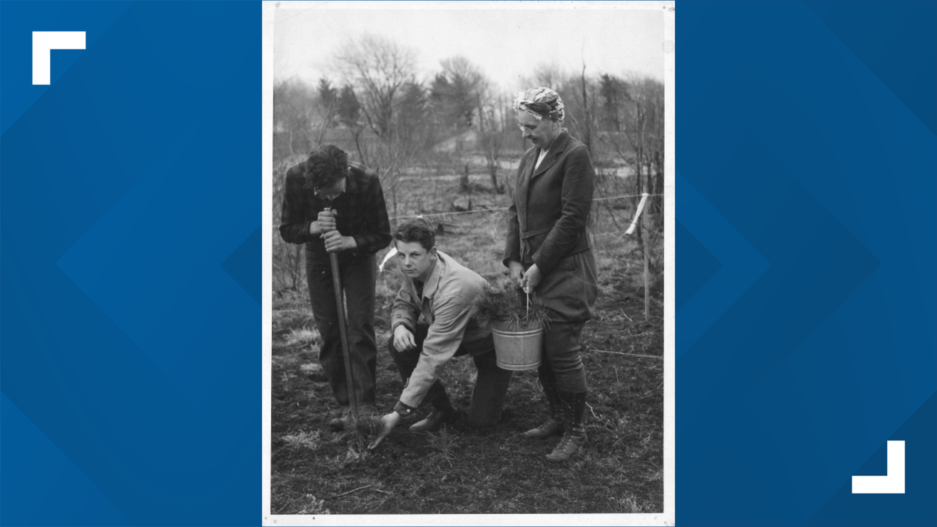 History of the Tulip Time Festival in Holland | wzzm13.com