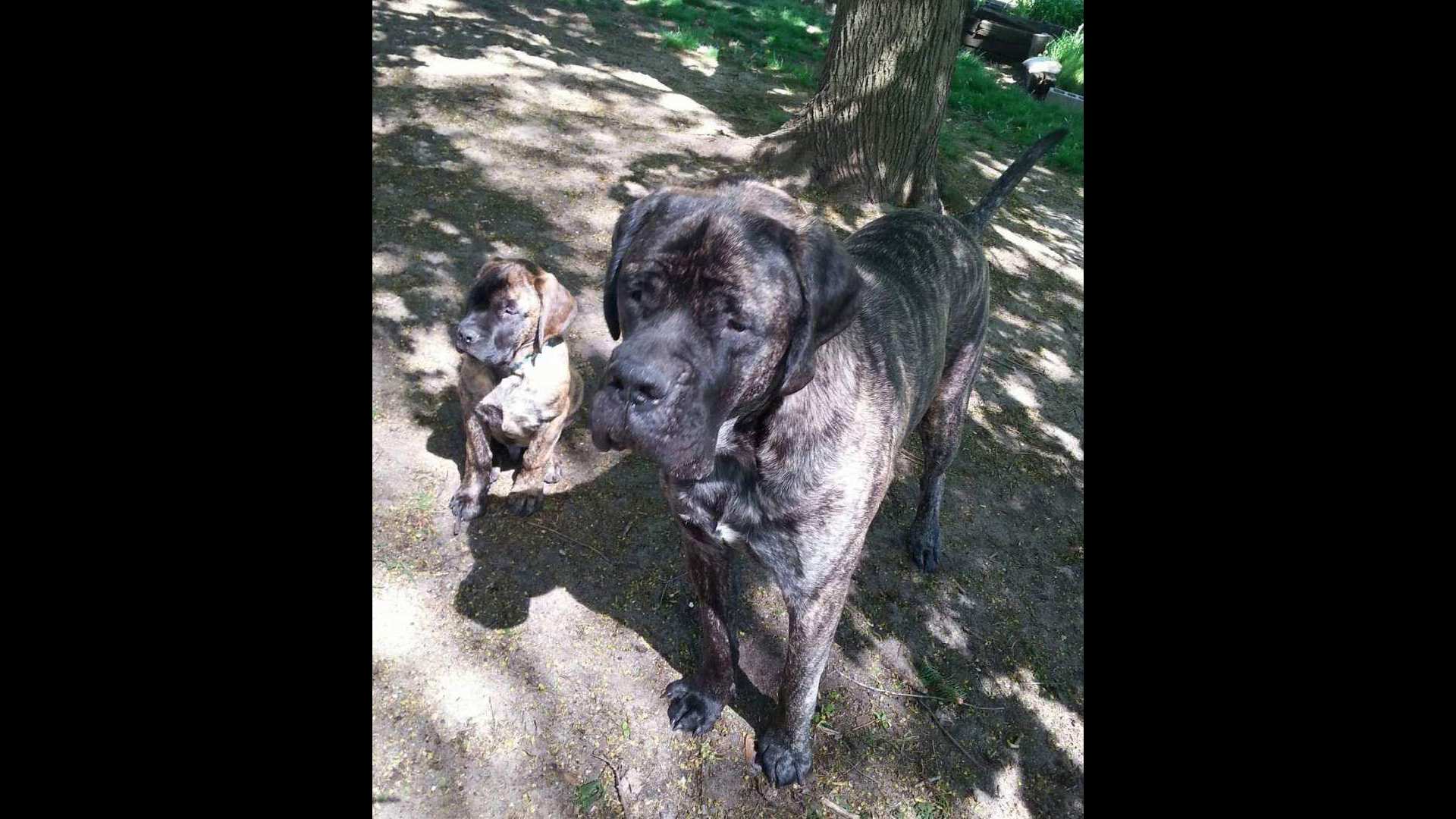 HOPPY April to all our Furry Friends! | wzzm13.com