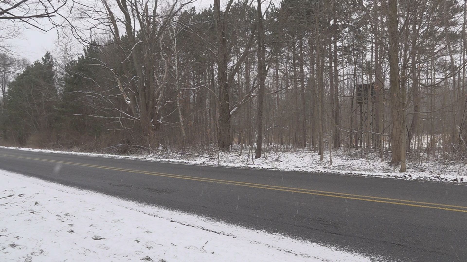 Neighbor hopes human remains found in Rothbury will bring a family ...