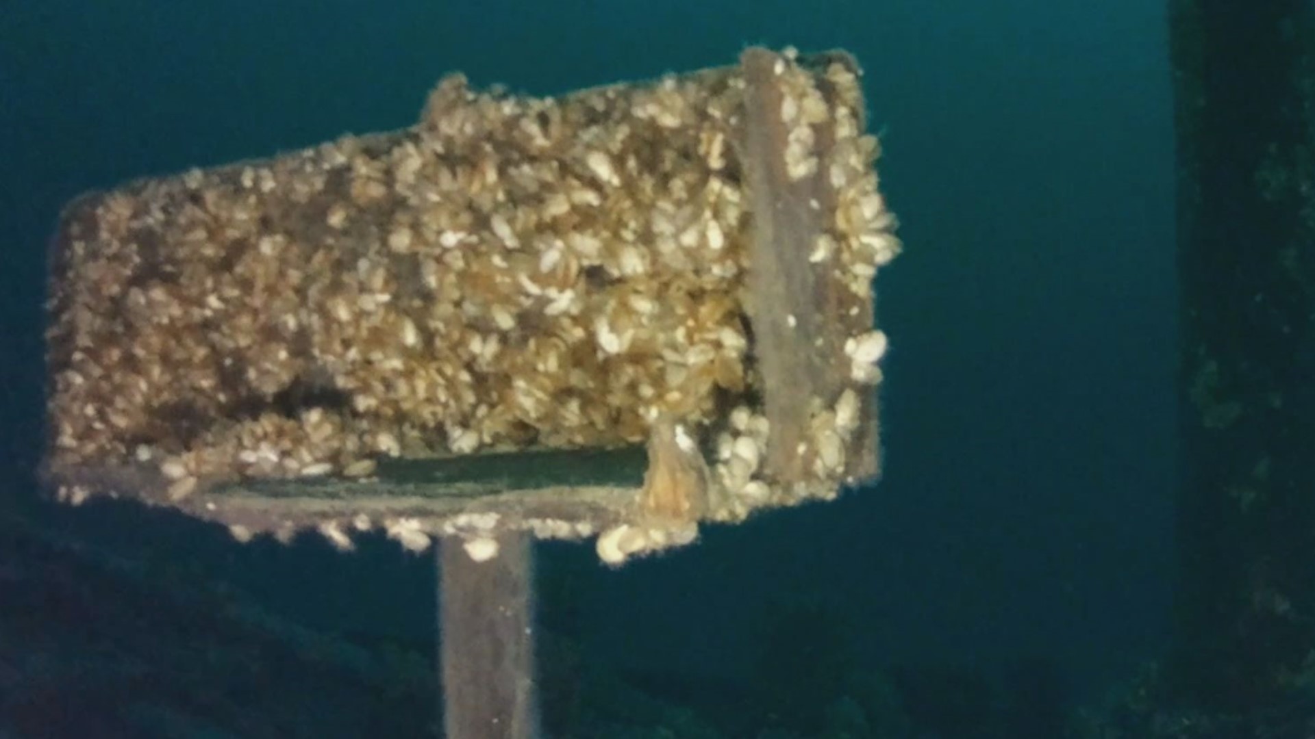 127-year-old shipwreck in Lake Michigan looks 'amazingly intact ...