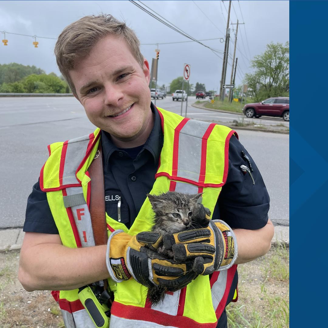 Firefighters rescue kitten from Walker pipe | wzzm13.com