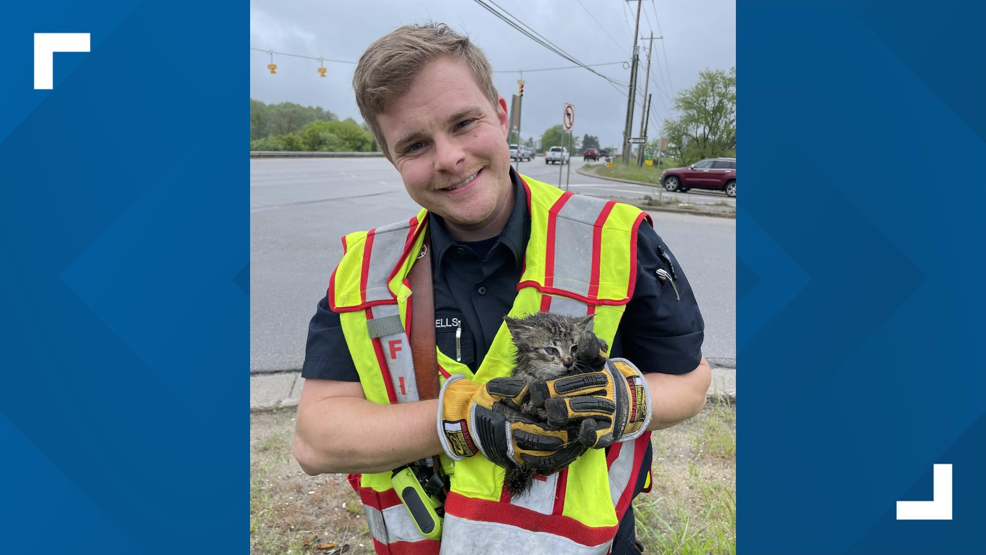 Firefighters rescue kitten from Walker pipe | wzzm13.com