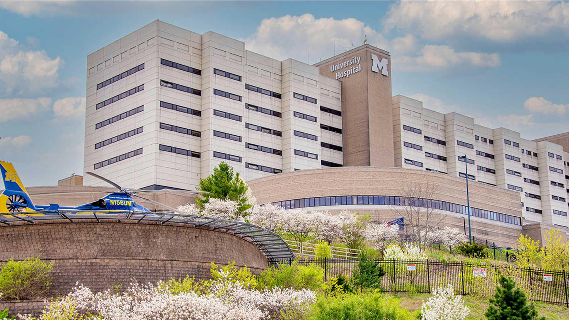 University of Michigan Health halts some gender-affirming care for ...