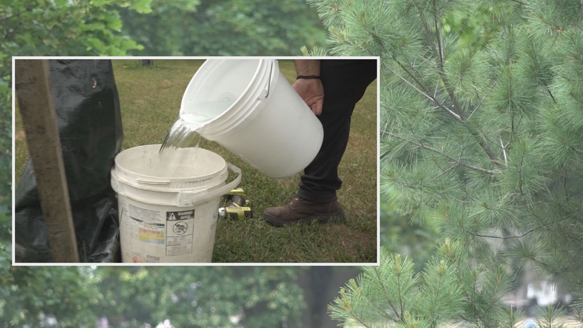 Proper watering practices can keep your trees alive during summer dry ...