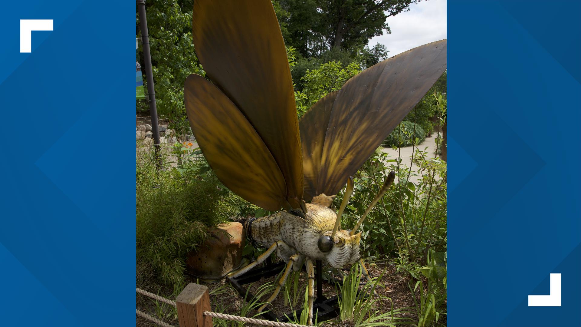 John Ball Zoo's Power of Pollinators exhibit to feature massive ...