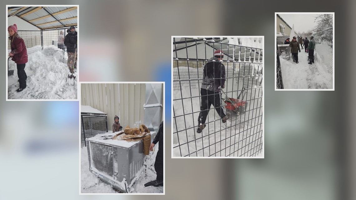 Pound Buddies gets extra help from community cleaning up snow | wzzm13.com