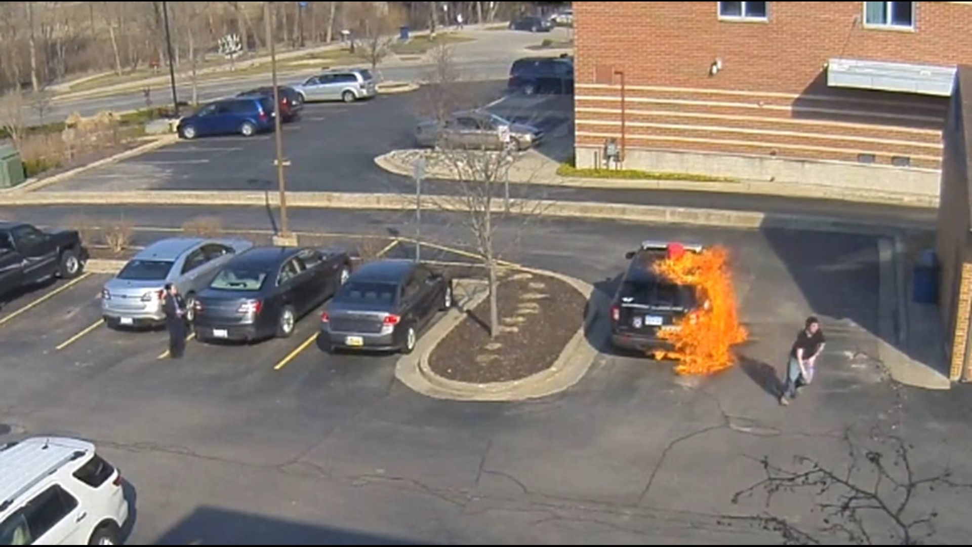 Man sets Hastings police car on fire, gets arrested | wzzm13.com