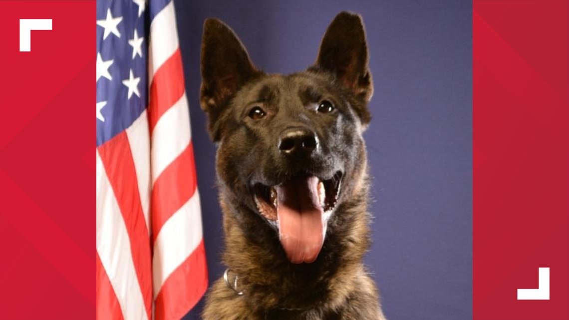 Animal activists call on GRPD to replace police K9s with robots ...