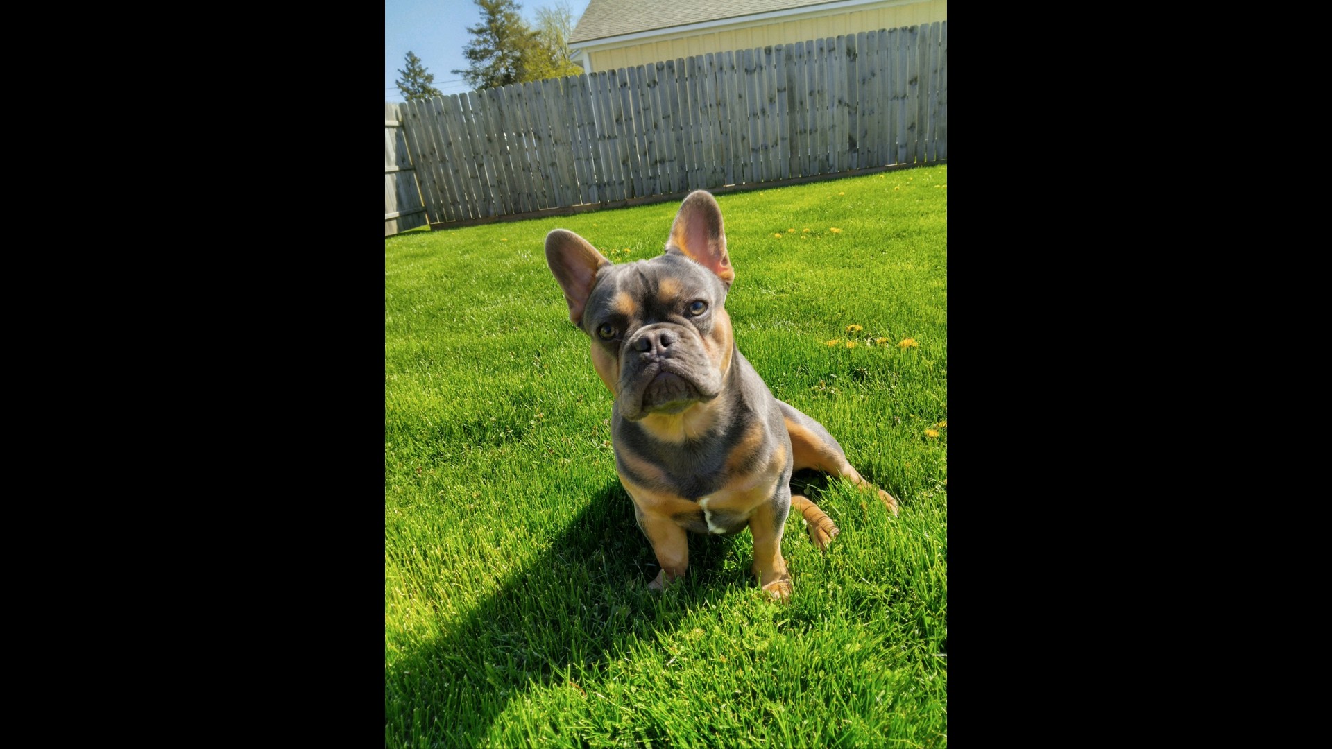 HOPPY April to all our Furry Friends! | wzzm13.com