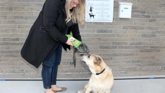 24-hour microchip scanning station installed in Cedar Springs | wzzm13.com