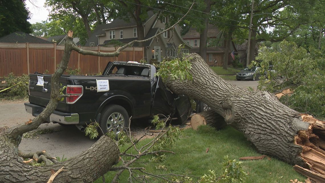 Grand Rapids man puts truck smashed by fallen tree up 'for sale ...