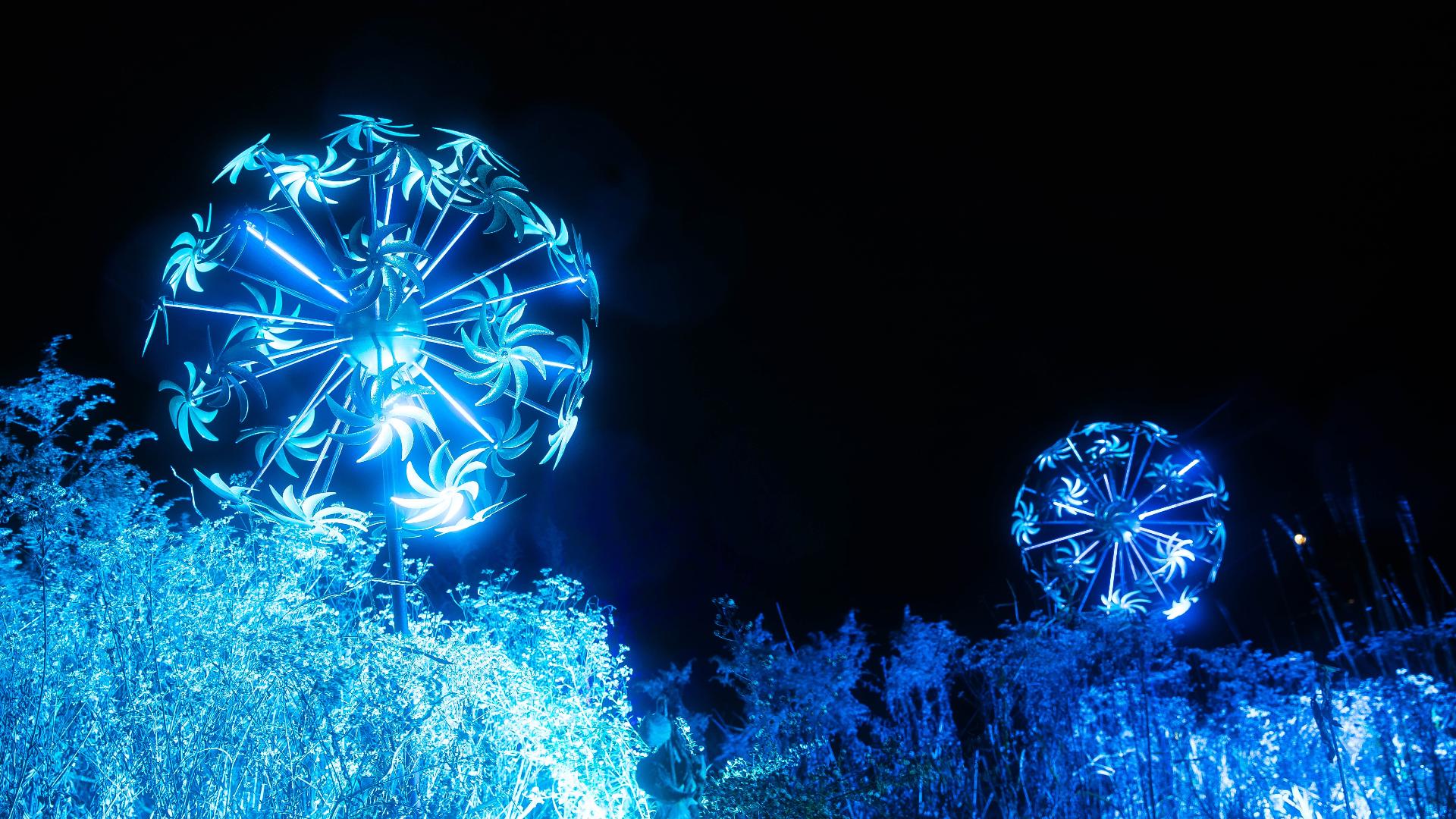 ENLIGHTEN returns to Meijer Gardens | wzzm13.com