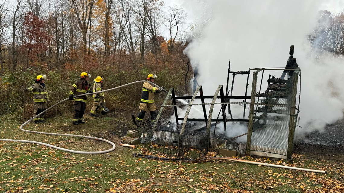 Geneva Township chicken coop fire leaves 30 laying hens dead | wzzm13.com