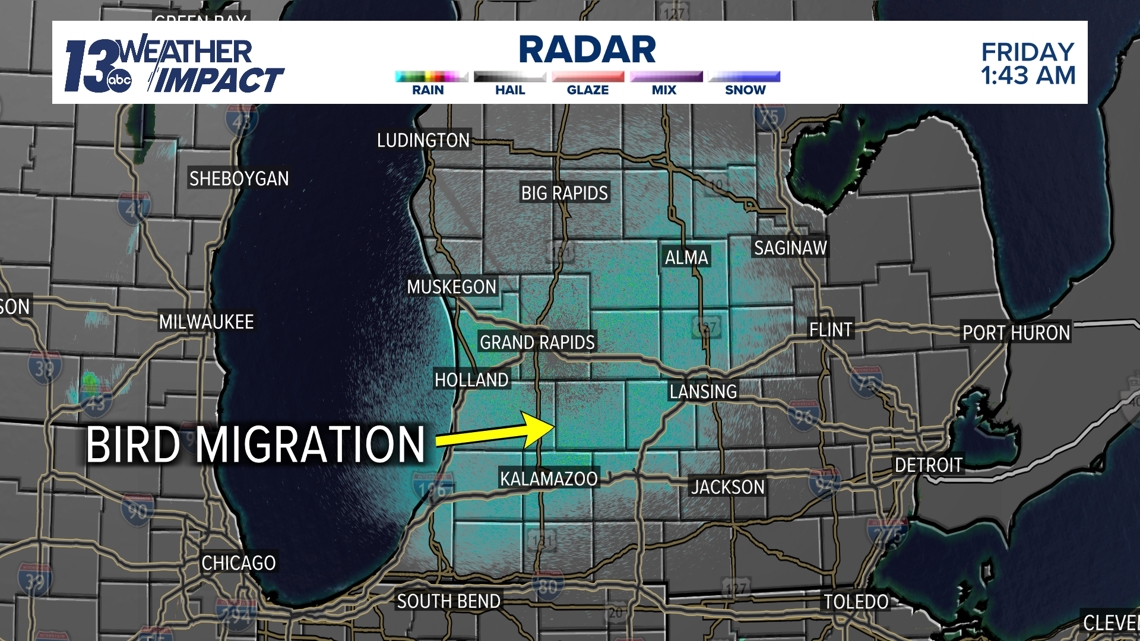 Weather radar captures bird migration as temperatures warm up | wzzm13.com