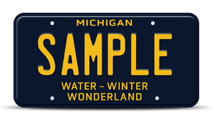 MI 'Winter Wonderland' license plates tribute to Detroit woman | wzzm13.com
