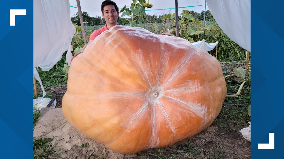 CMU professor grows jumbo pumpkin | wzzm13.com