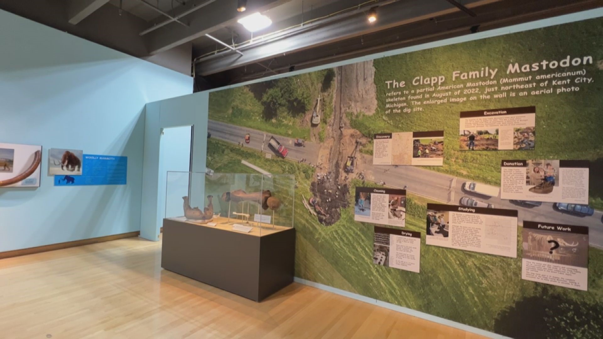 Mastodon bones discovered in Michigan now on display in museum | wzzm13.com