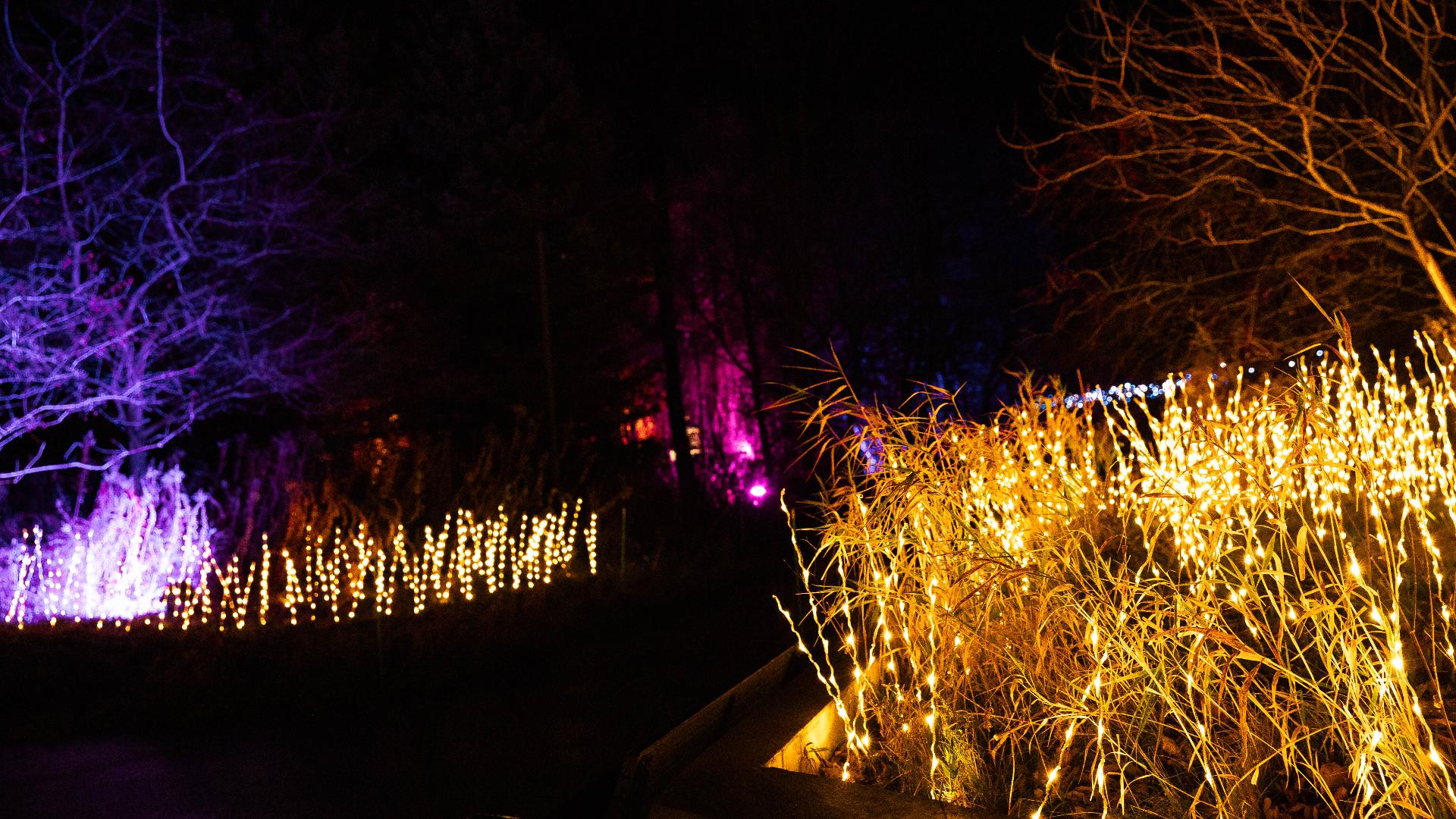 ENLIGHTEN returns to Meijer Gardens | wzzm13.com
