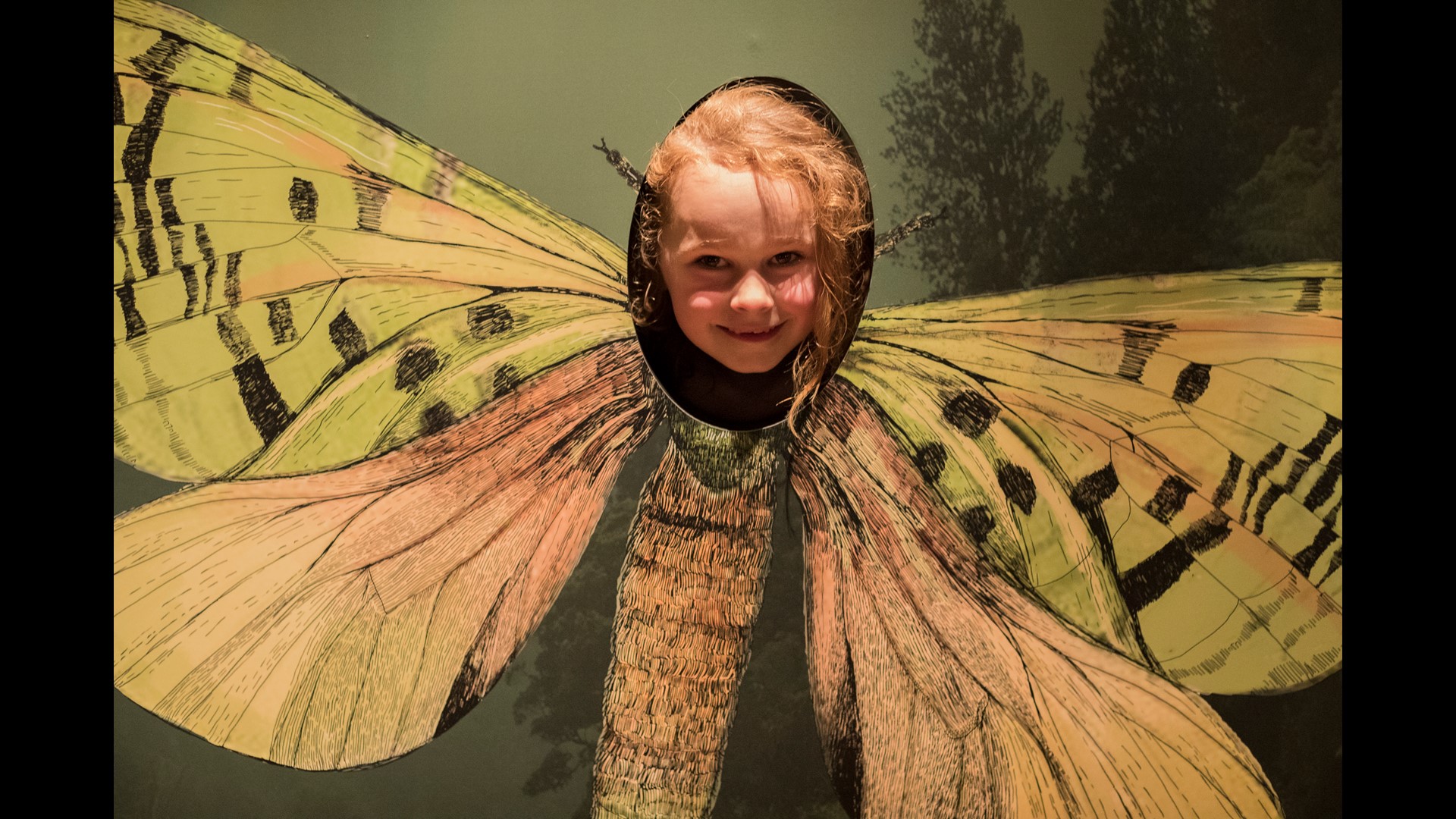 Grand Rapids Public Museum announces 'Bugs' exhibition | wzzm13.com