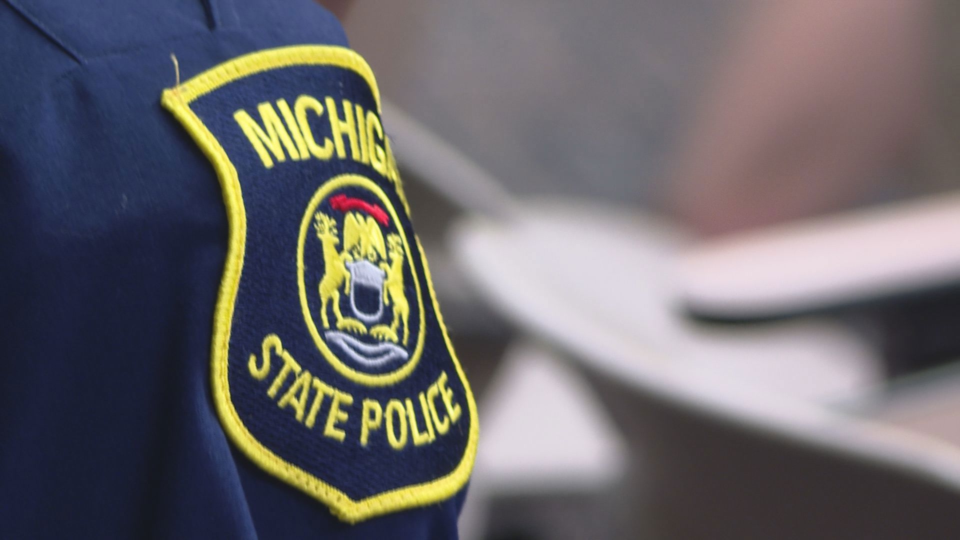 Michigan man charged with 25 felonies after home invasion, police chase ...