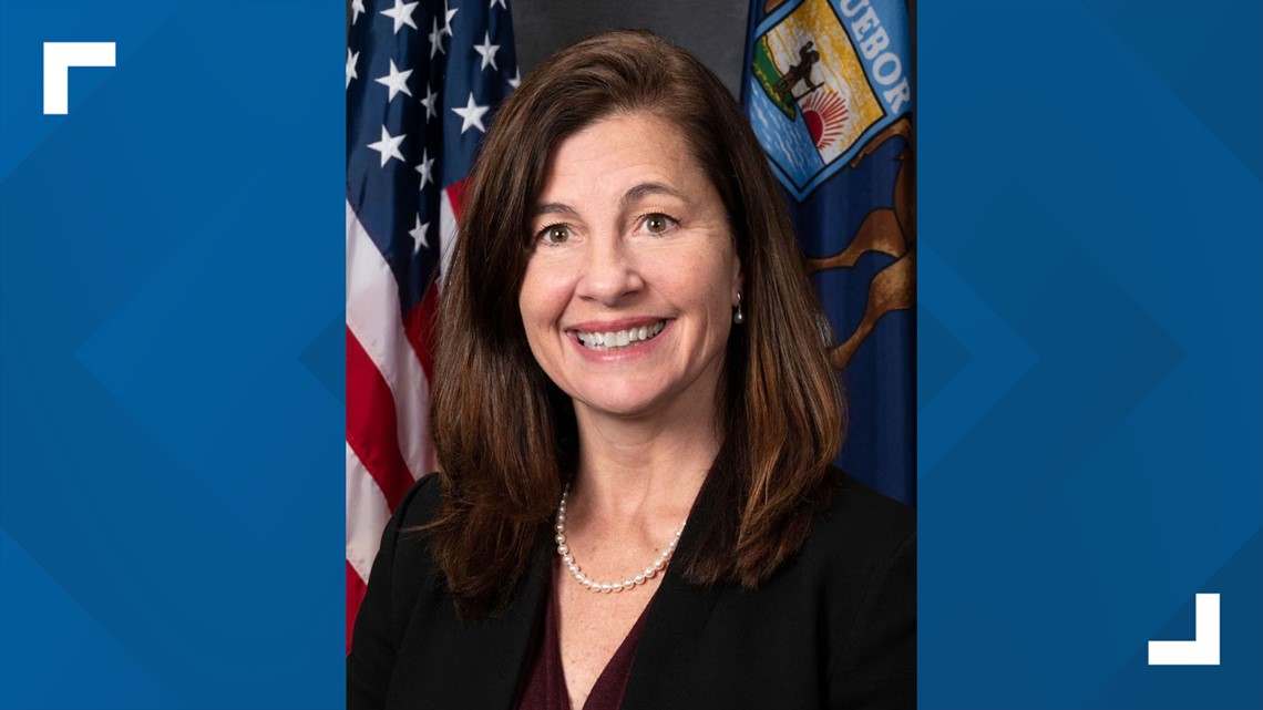 Michigan state lawmaker enters crowded U.S. House race as Democrats aim ...