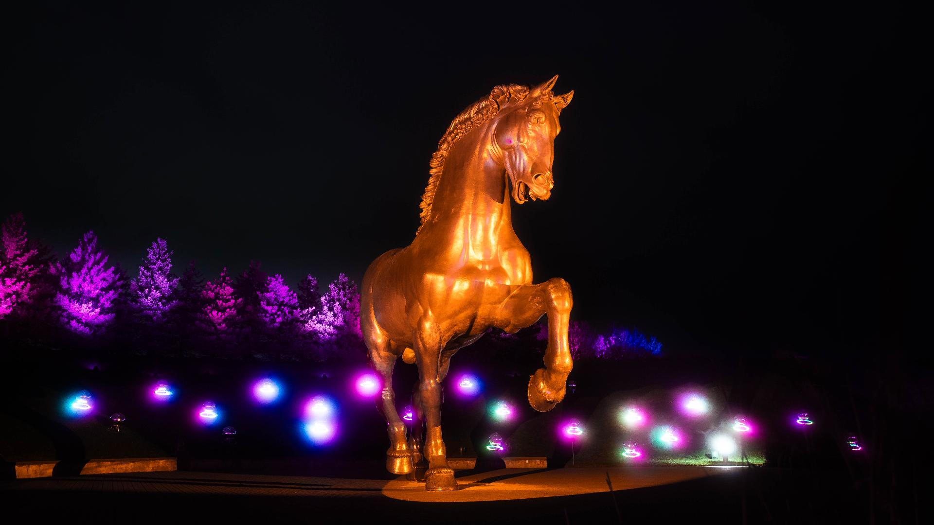 ENLIGHTEN returns to Meijer Gardens | wzzm13.com