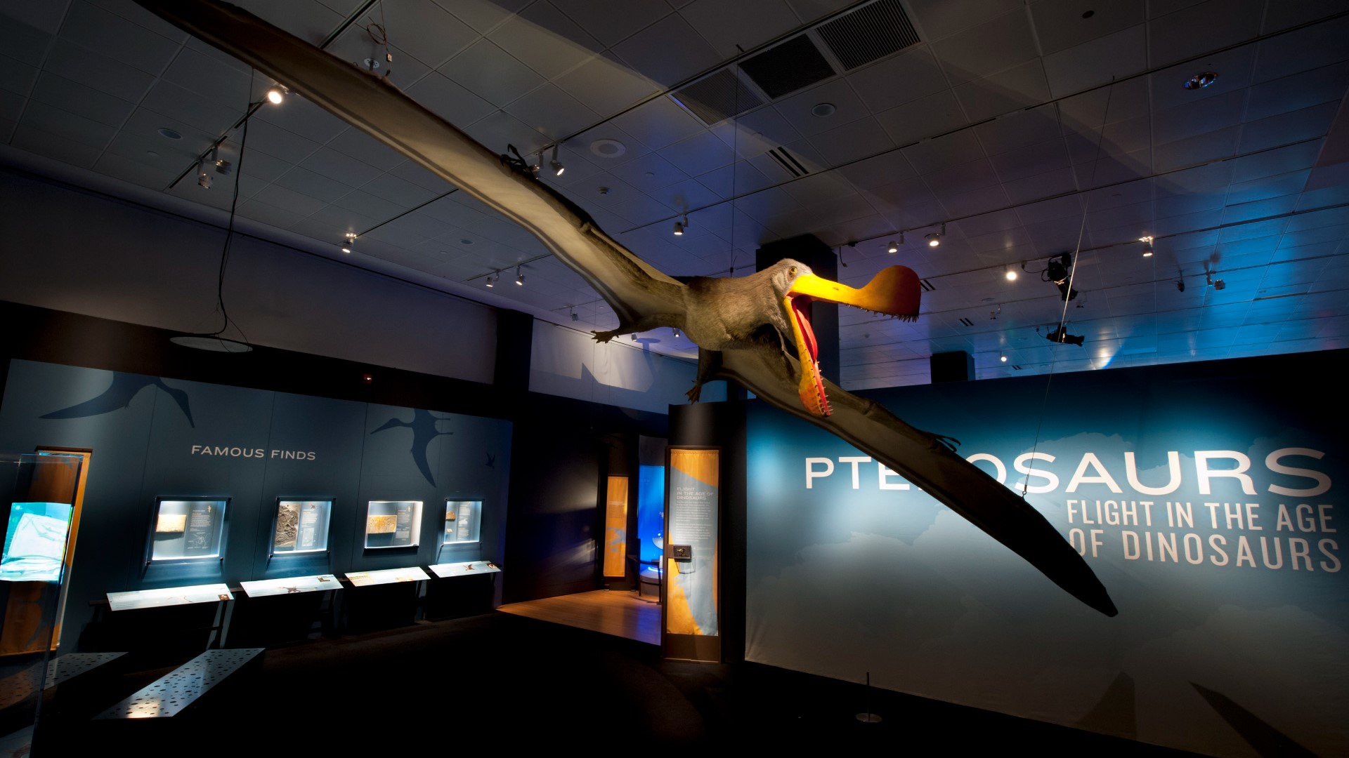 Pterosaurs: Flight in the Age of Dinosaurs exhibit at GRPM | wzzm13.com
