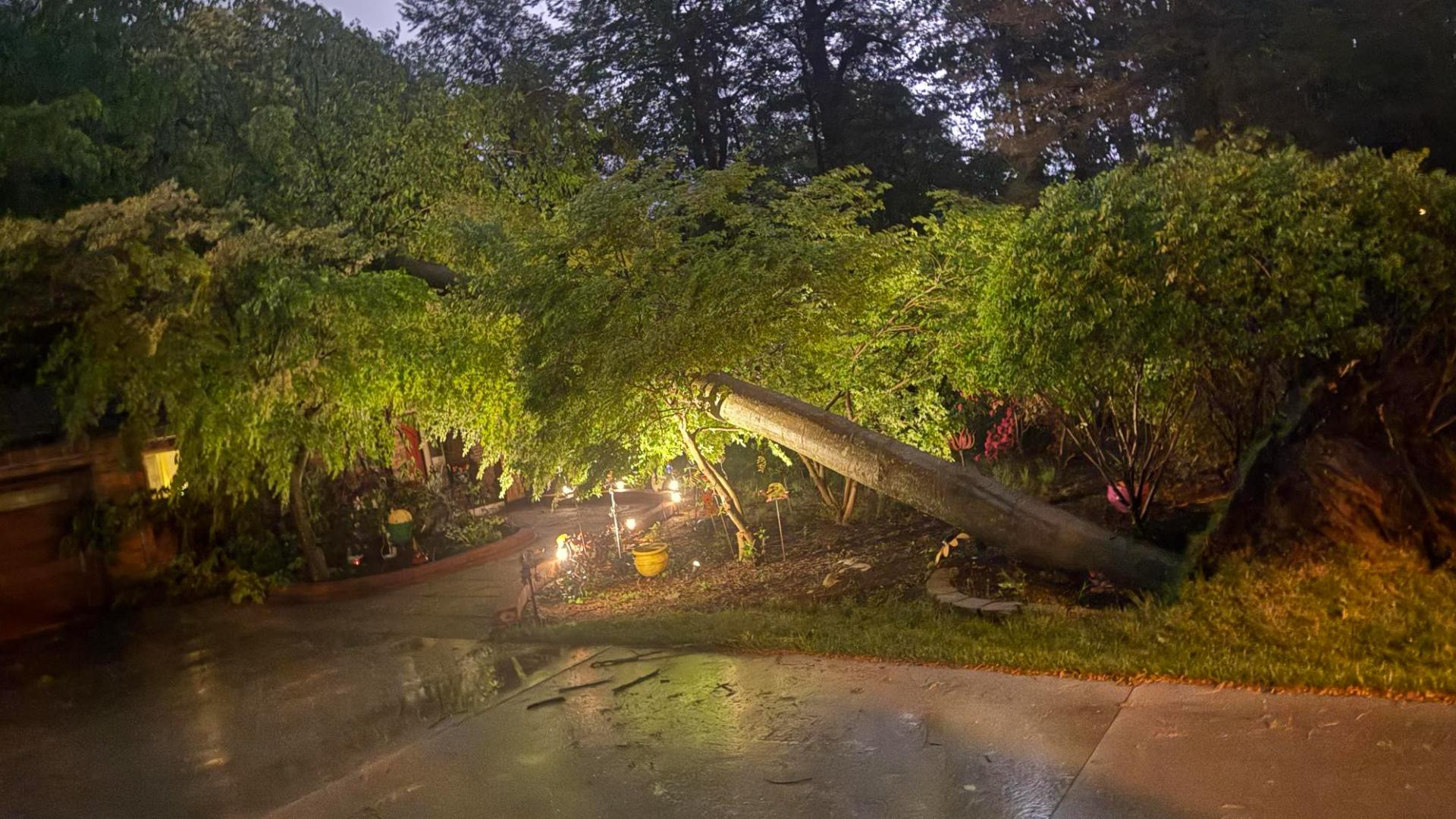 Storm damage across West Michigan | wzzm13.com