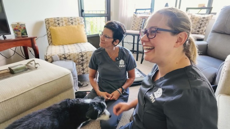 Shelter covers house call vet costs so seniors can keep their best ...