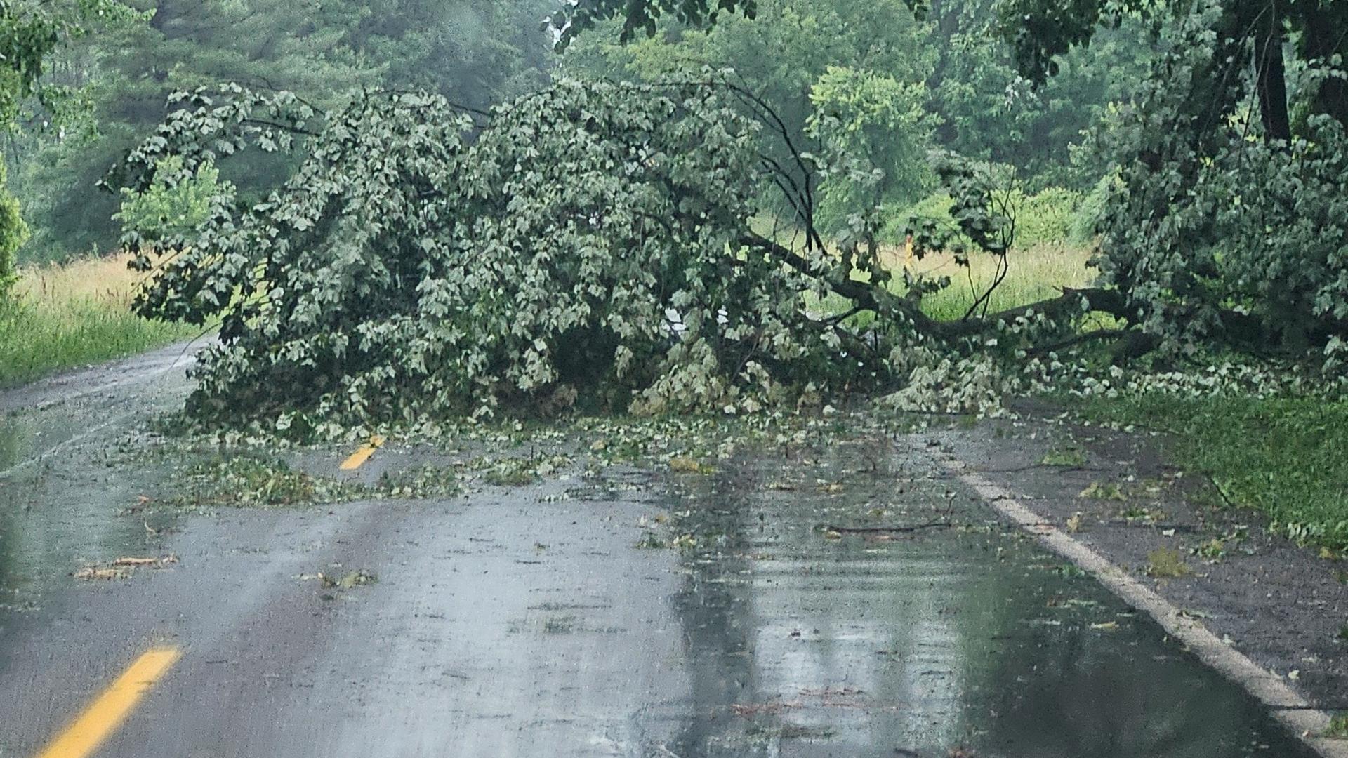 How to report downed trees and power lines blocking roads | wzzm13.com