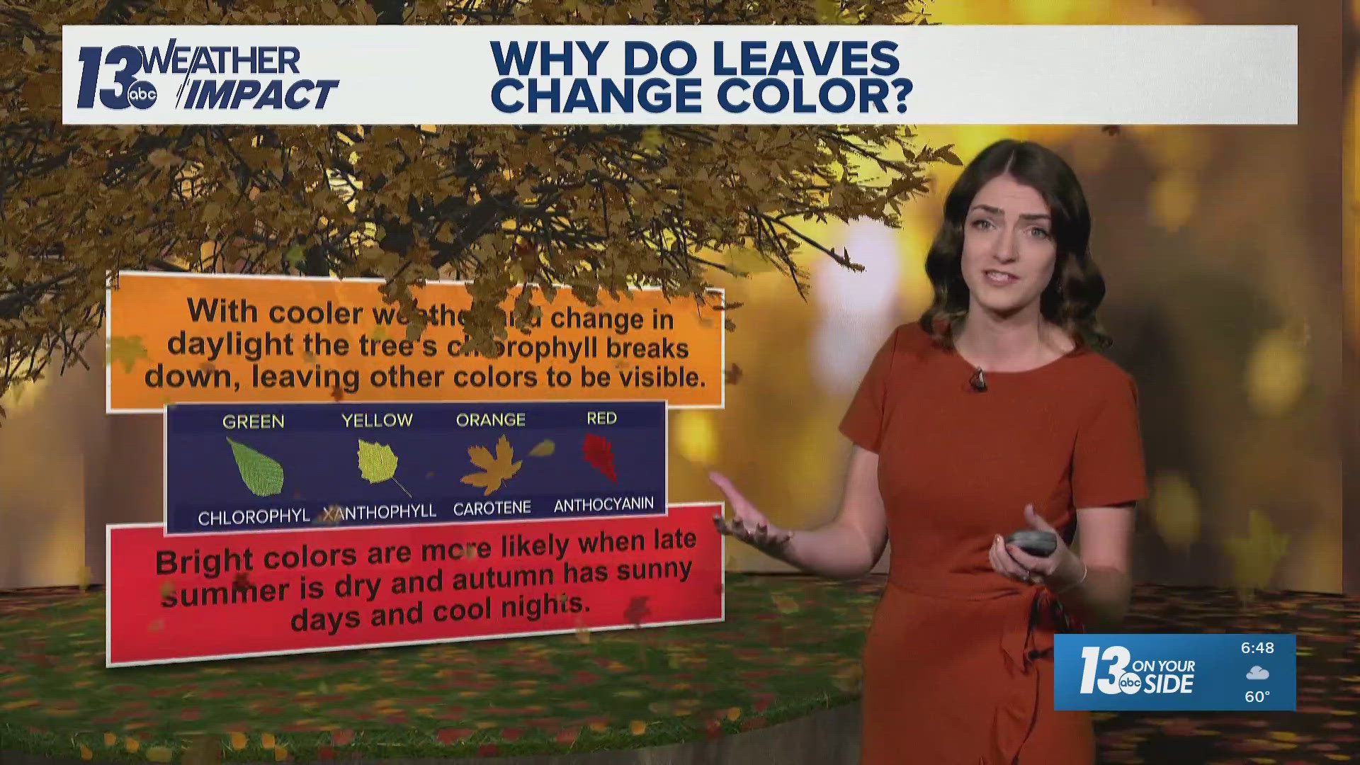 Drought’s impact on the fall color season | wzzm13.com