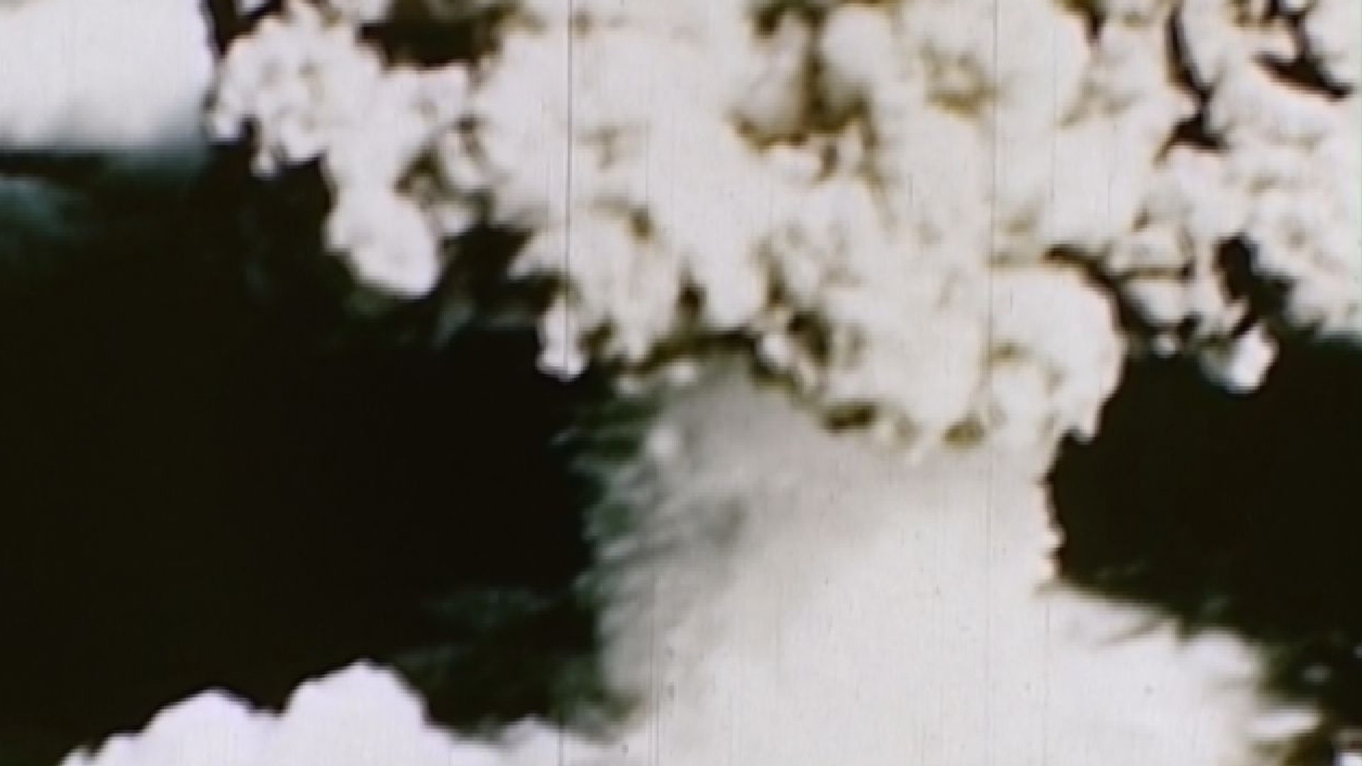 Atomic veterans share their story after years of sworn secrecy | wzzm13.com