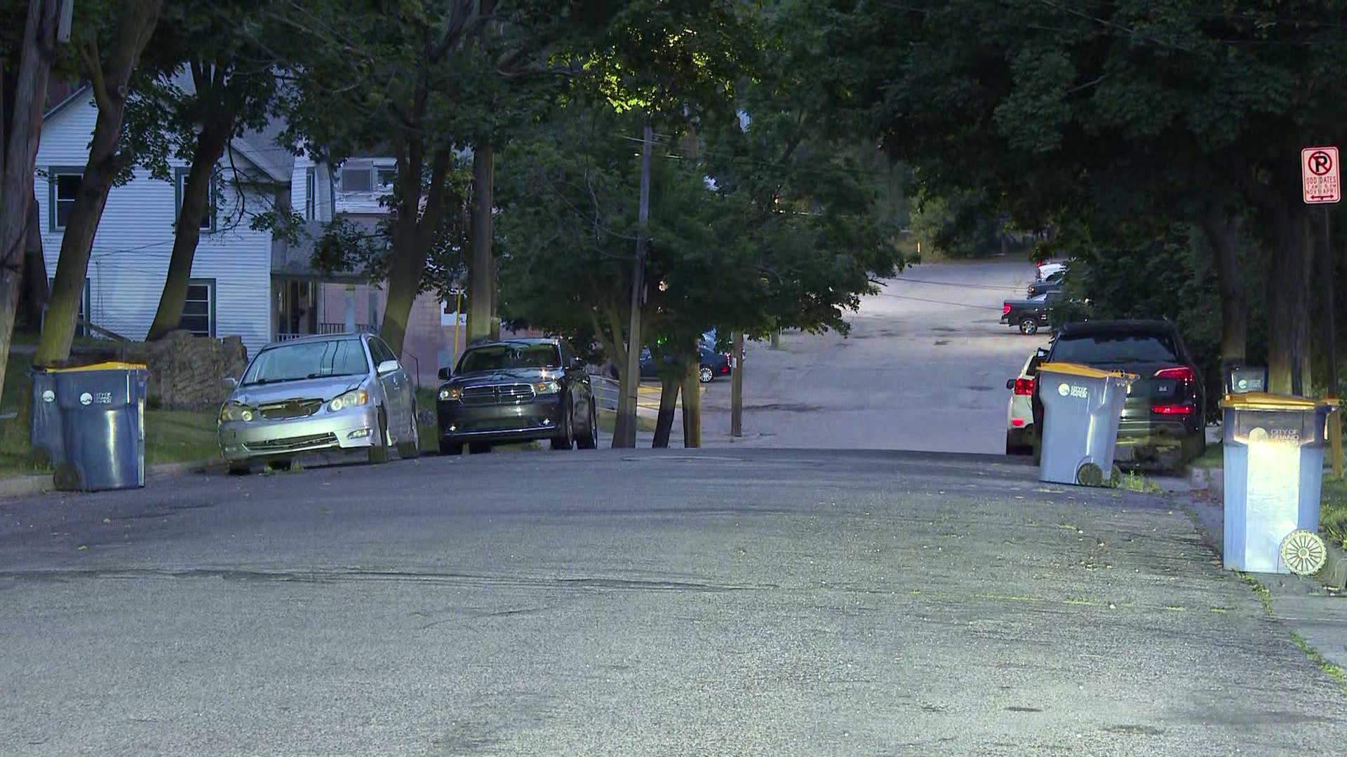 Grand Rapids teen charged in 15-year-old Myasia Johnson's death ...