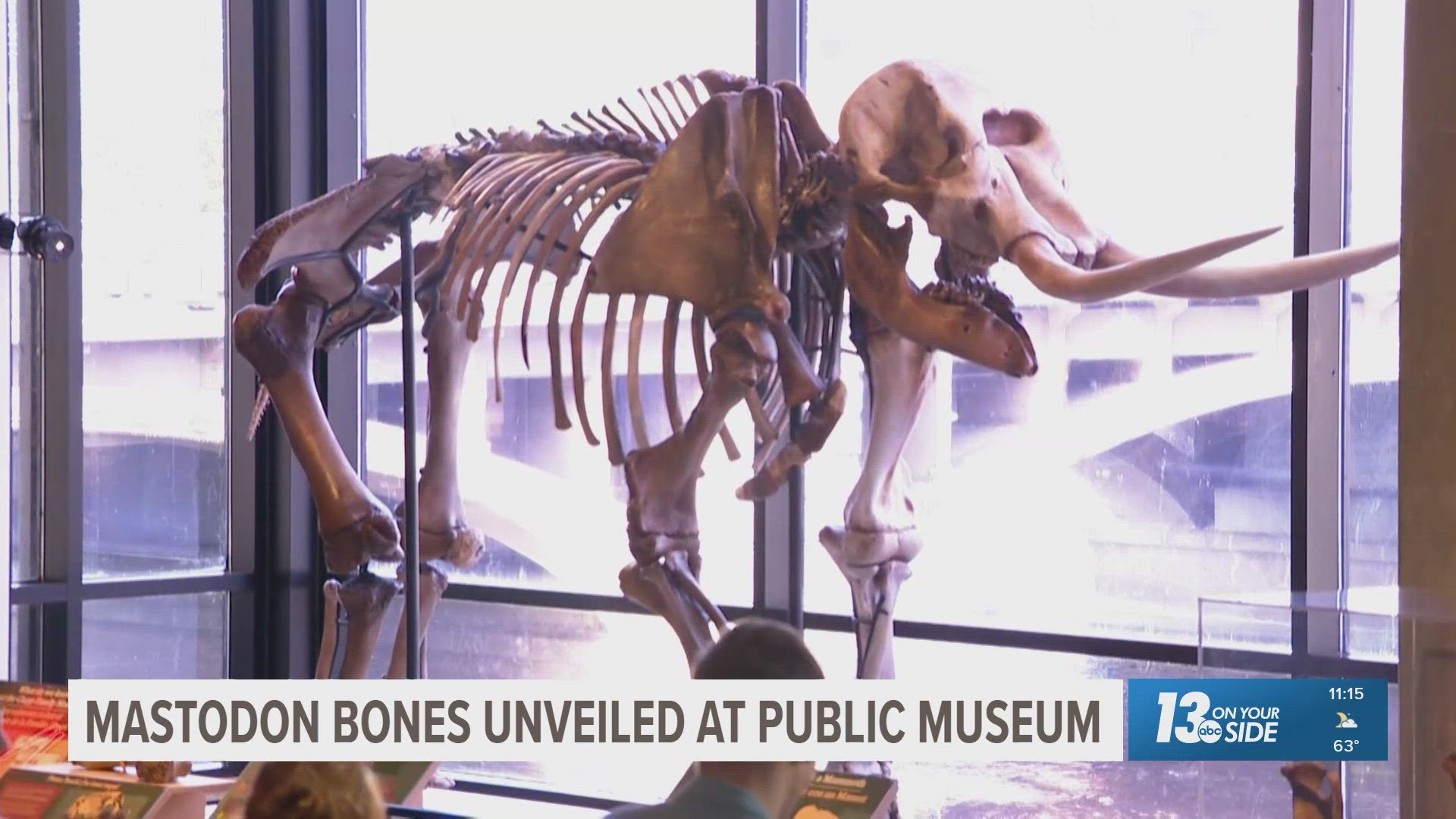 Grand Rapids Public Museum unveils mastodon found in West Michigan ...