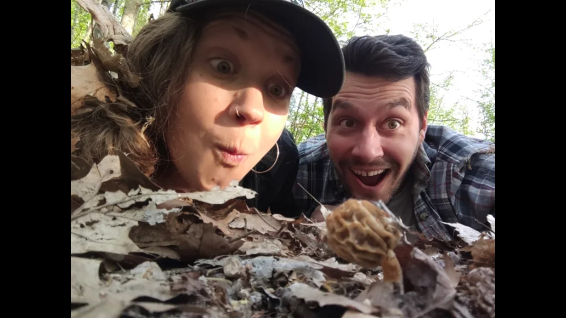 A guide to foraging in West Michigan | wzzm13.com