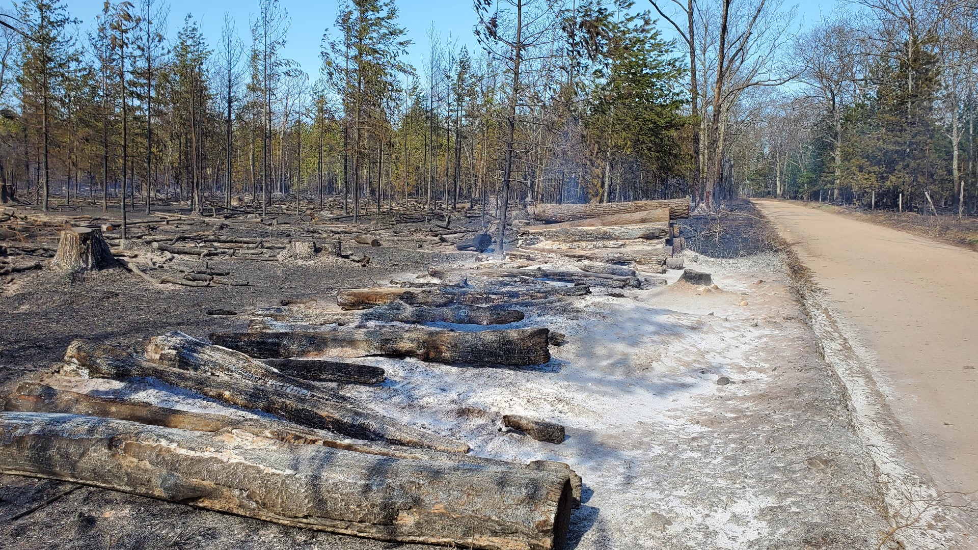 Northern Michigan wildfire now 60% contained by fire crews | wzzm13.com