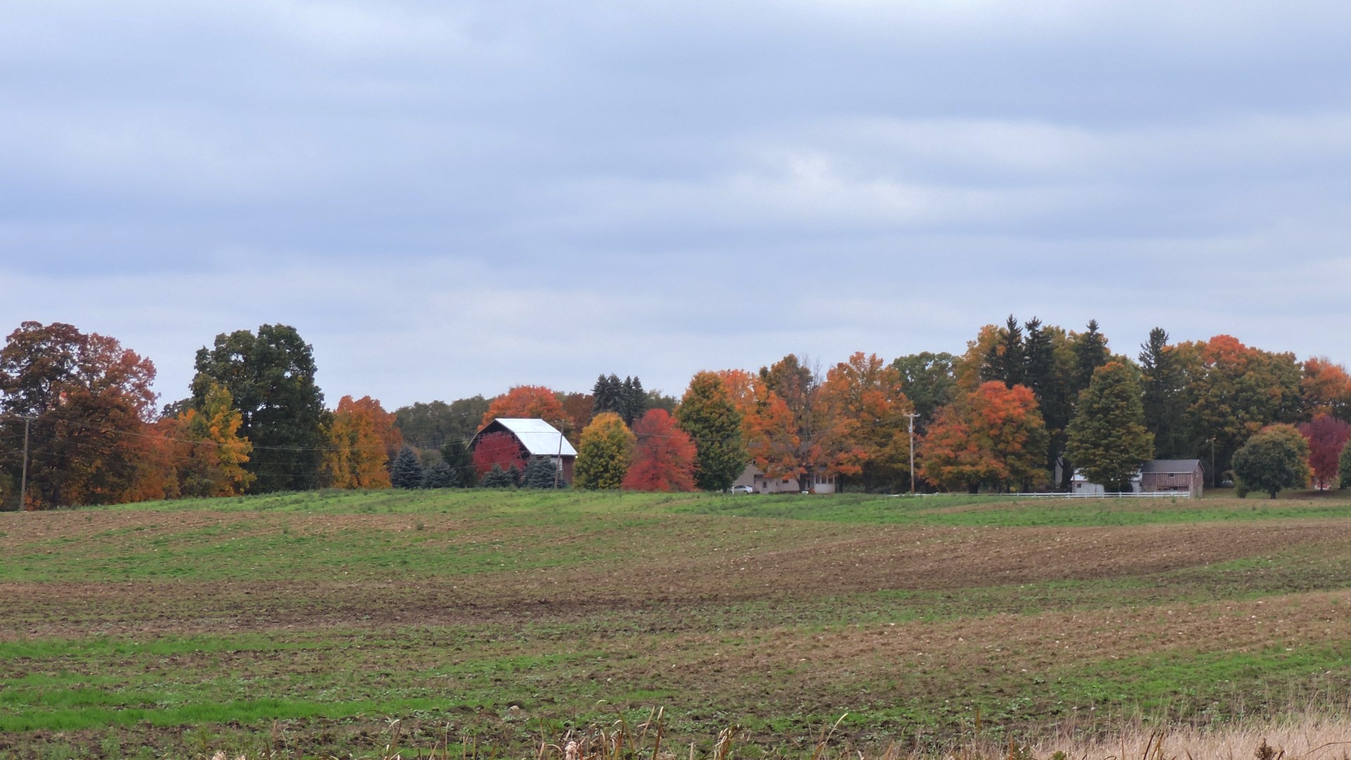 Kent County Road Commission's 2021 Fall Color Tour piques interest as ...