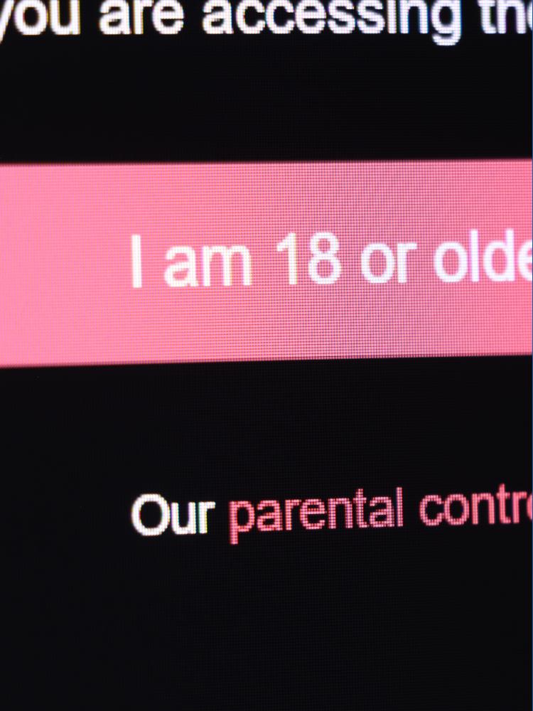 Michigan lawmakers push age verification on digital devices for online ...