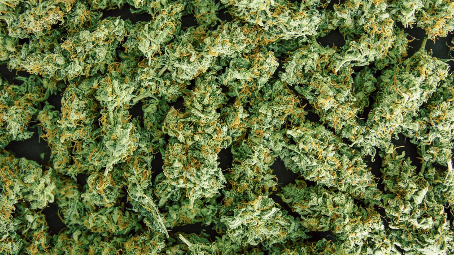Lawsuit challenging Michigan's new 24% wholesale marijuana tax allowed ...