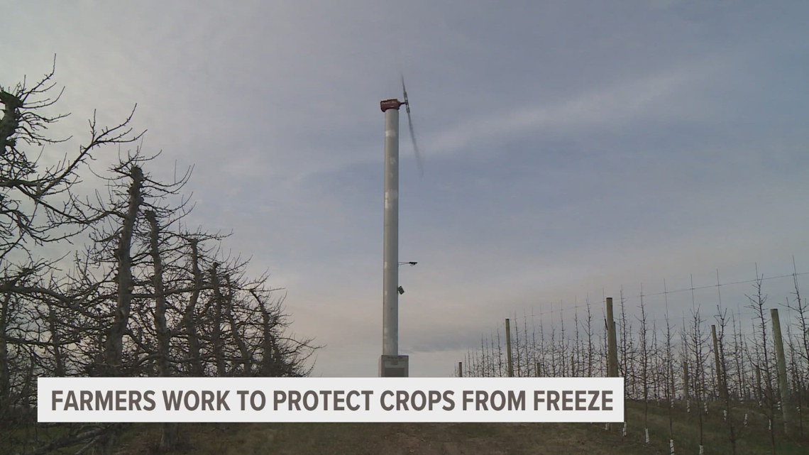 Railside Orchards invests in frost fans to protect crops during ...