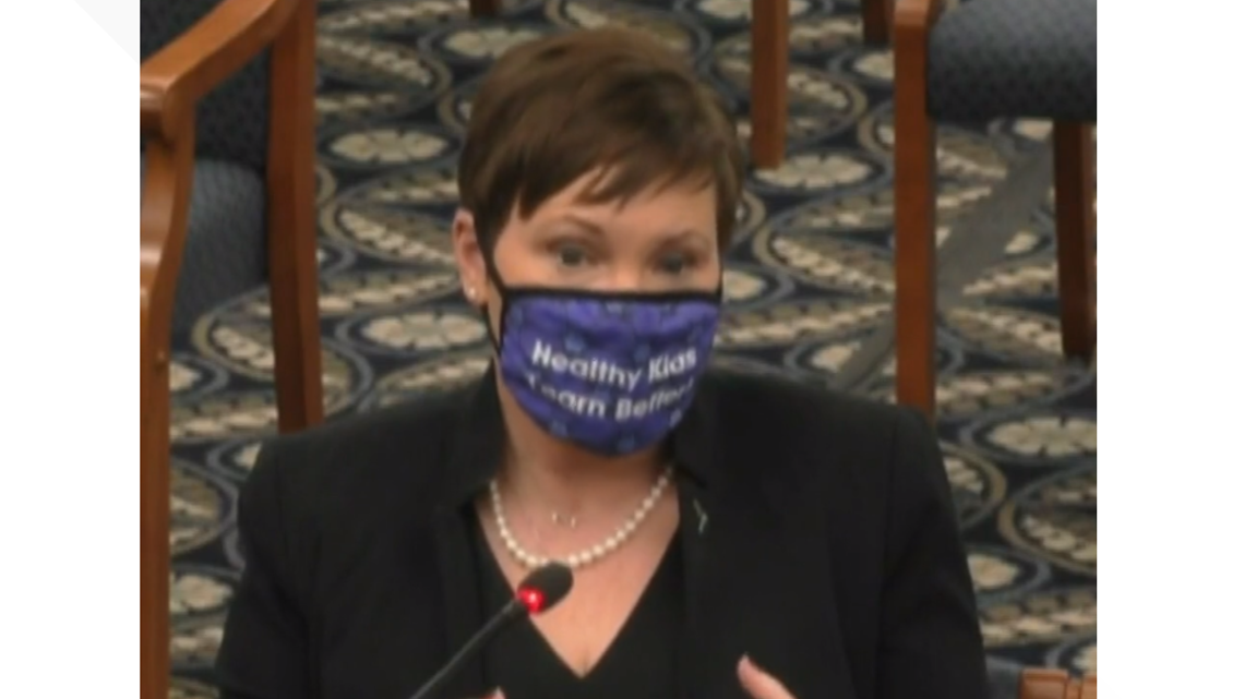 State Health Department Director Elizabeth Hertel testifies before ...