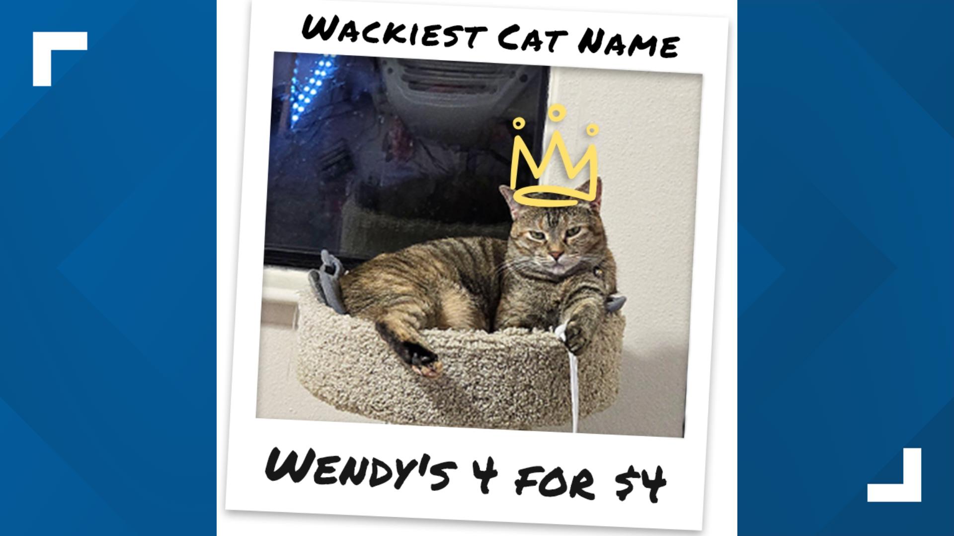 Walker cat wins wacky pet name contest | wzzm13.com